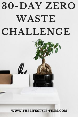 30-day zero waste challenge: how it went - The Lifestyle Files